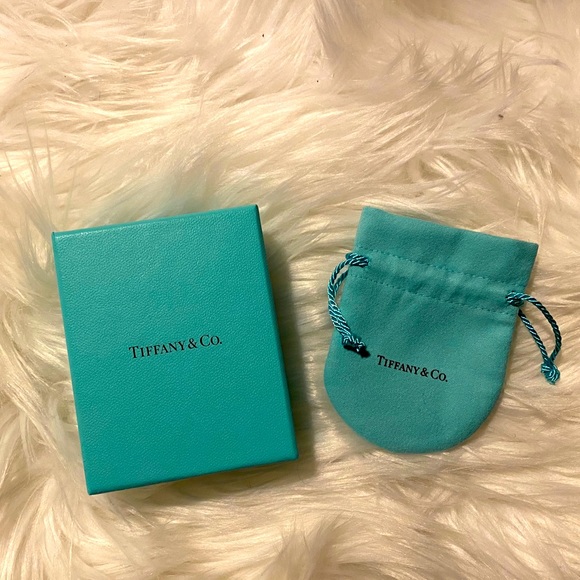 Tiffany & Co. | Accessories | Tiffany Case | Poshmark